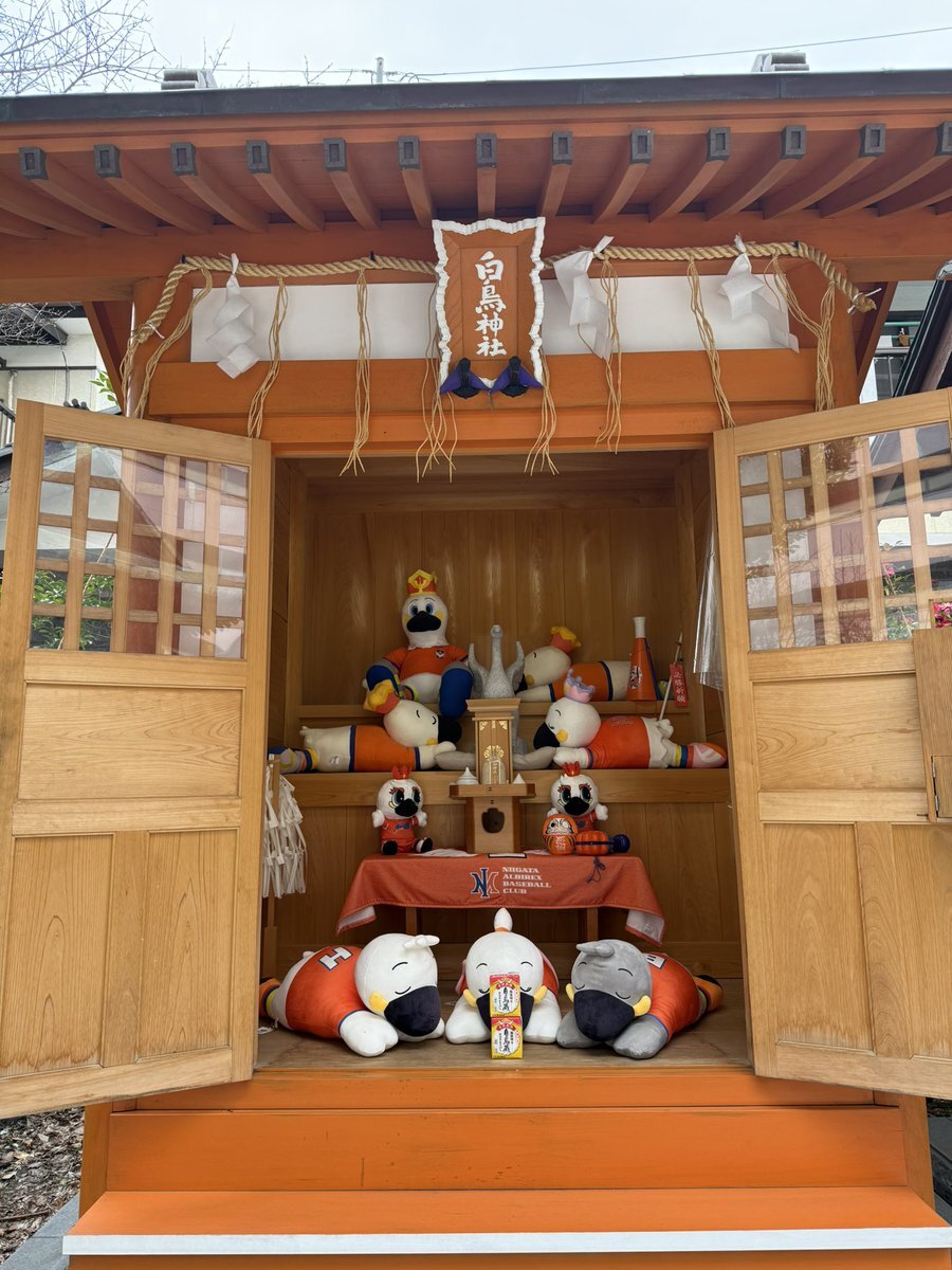 「アルビレックス新潟」のYahoo!リアルタイム検索 - X（旧Twitter）をリアルタイム検索