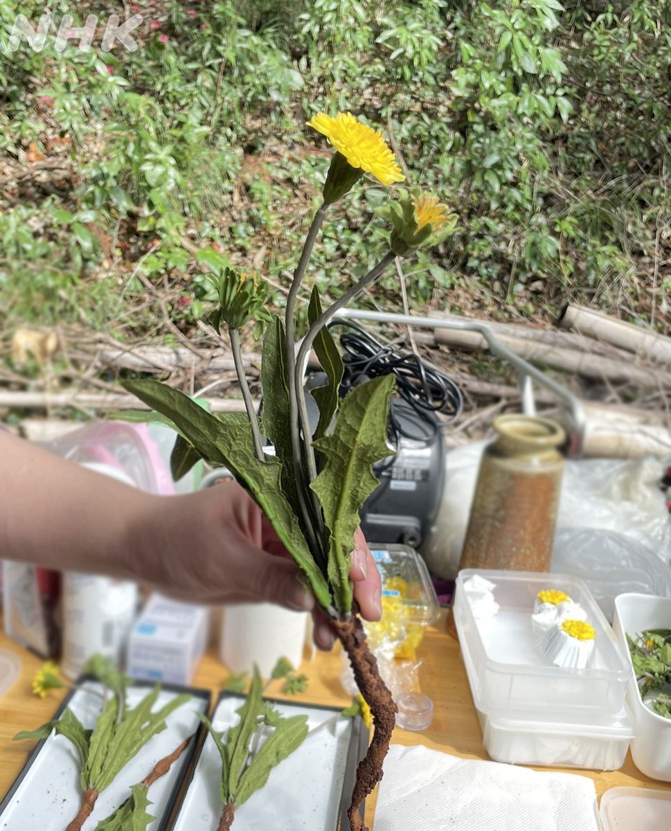 人気ポスト(@asadora_nhk) - Yahoo!リアルタイム検索