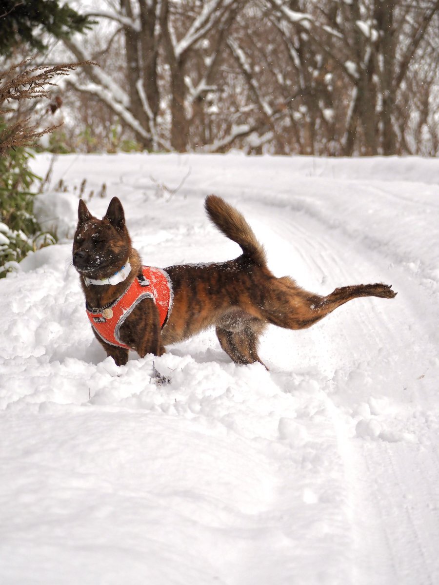 人気ポスト(@kaideer_roku) - Yahoo!リアルタイム検索