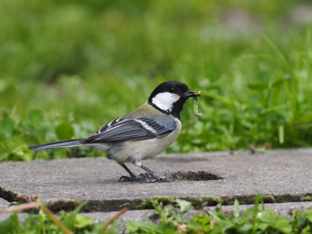 人気ポスト(@toshitaka_szk) - Yahoo!リアルタイム検索