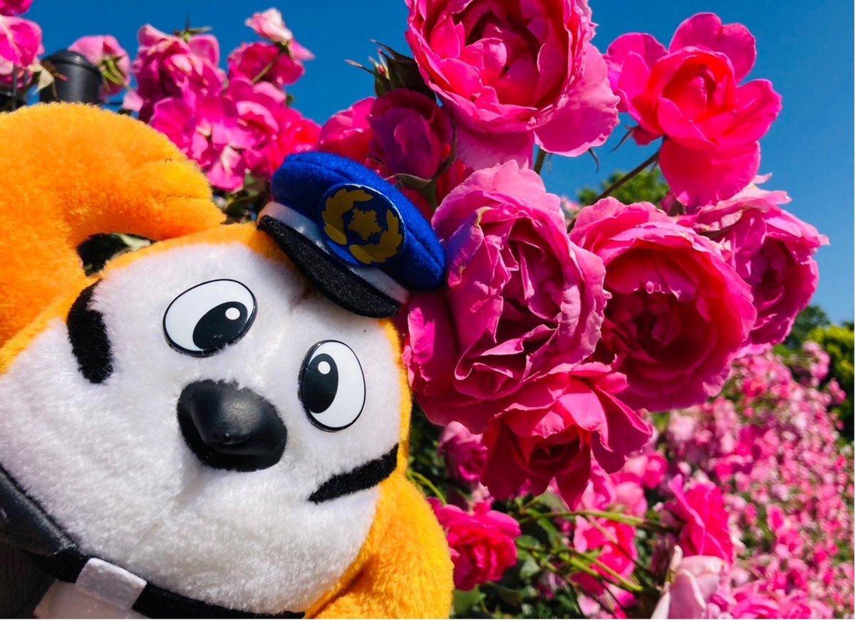 ミーポくん」のTwitter検索結果 - Yahoo!リアルタイム検索