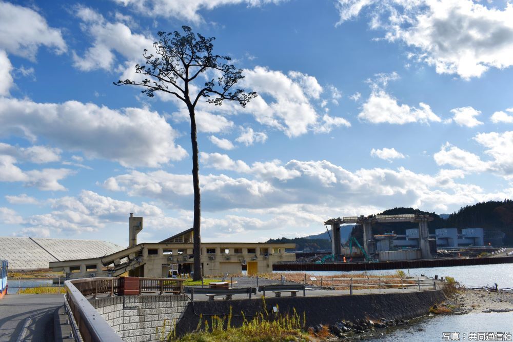 人気ポスト(@livedoornews) - Yahoo!リアルタイム検索