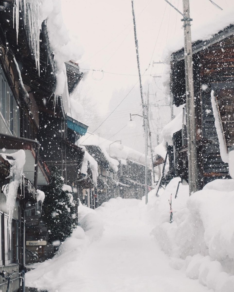 人気ポスト(@alfi_le) - Yahoo!リアルタイム検索