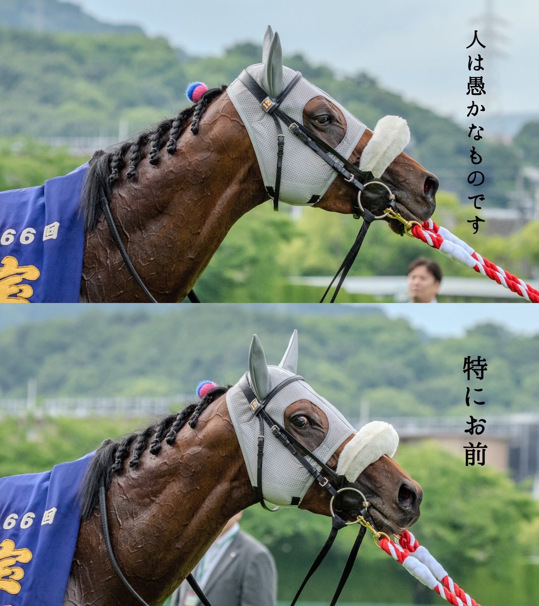 人気ポスト(@mosan_tk) - Yahoo!リアルタイム検索