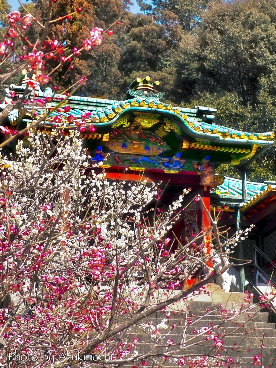 人気ポスト(@azukimochi_room) - Yahoo!リアルタイム検索