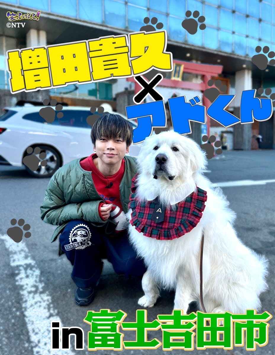 人気ポスト(@warakora_ntv) - Yahoo!リアルタイム検索