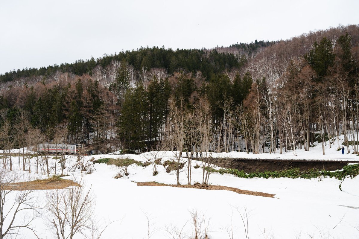 人気ポスト(@horo_nukanyan) - Yahoo!リアルタイム検索