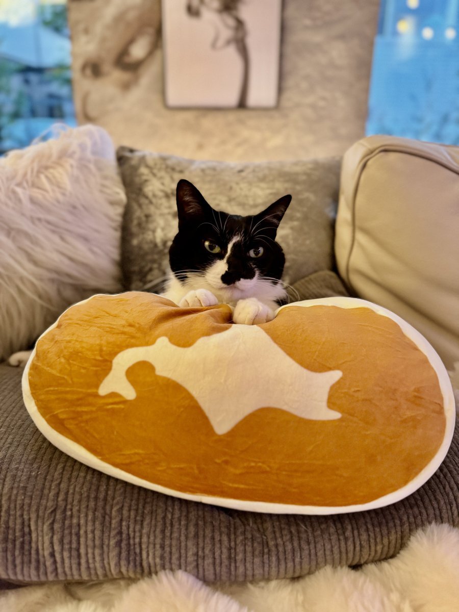 人気ポスト(@HOMEALONe_ksk) - Yahoo!リアルタイム検索