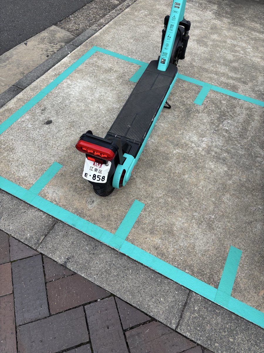 LUUPに乗るクマ？SNSで話題に！(2025/10/30)｜SNSのバズまとめ - Yahoo!リアルタイム検索