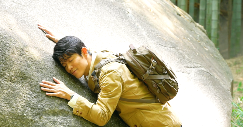 人気ポスト(@nara_cjr) - Yahoo!リアルタイム検索