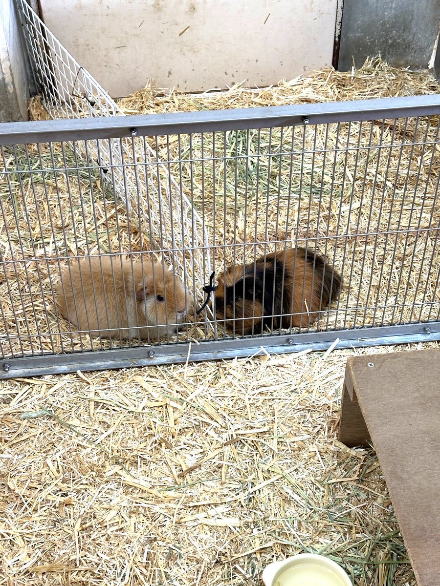 人気ポスト(@asa_zoo) - Yahoo!リアルタイム検索