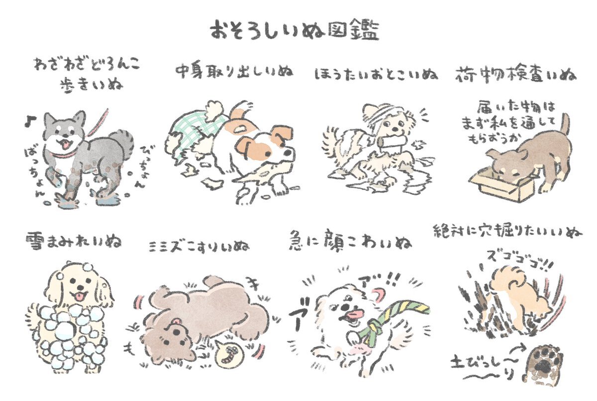 人気ポスト(@kametan_jun) - Yahoo!リアルタイム検索