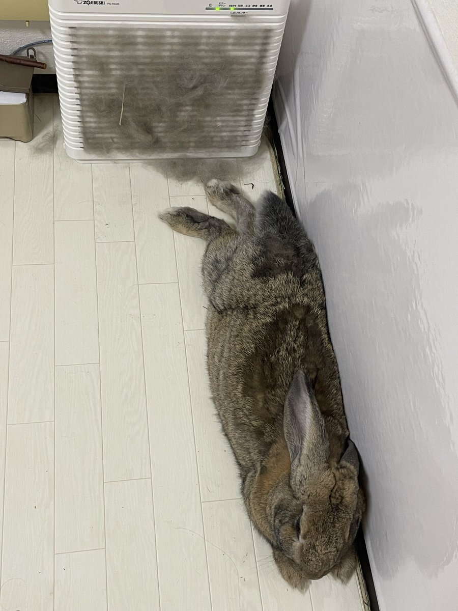 人気ポスト(@rem_0339) - Yahoo!リアルタイム検索