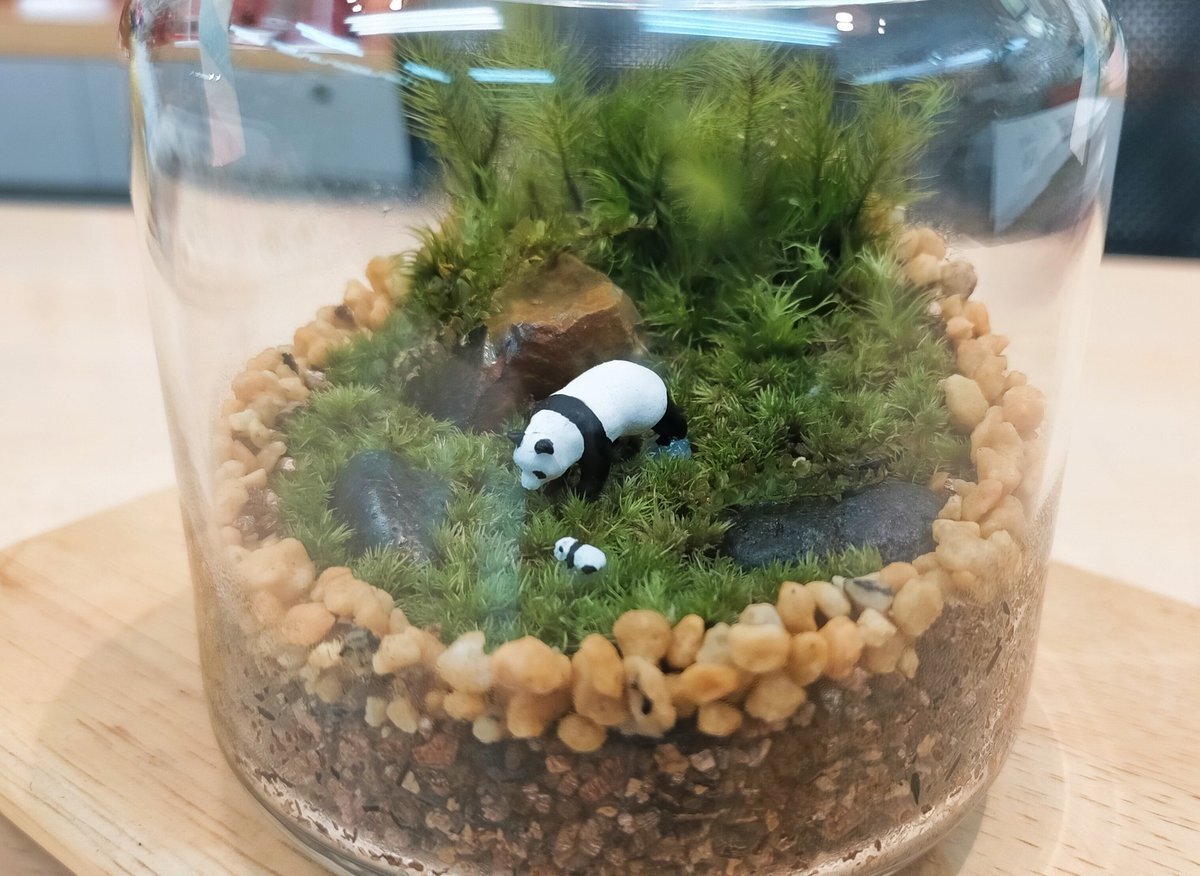 「シンシン パンダ」のX（旧Twitter）検索結果 - Yahoo!リアルタイム検索