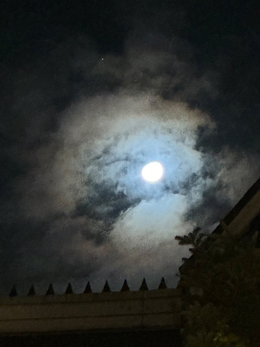 人気ポスト(@SAK_SAK_SAKUMA) - Yahoo!リアルタイム検索