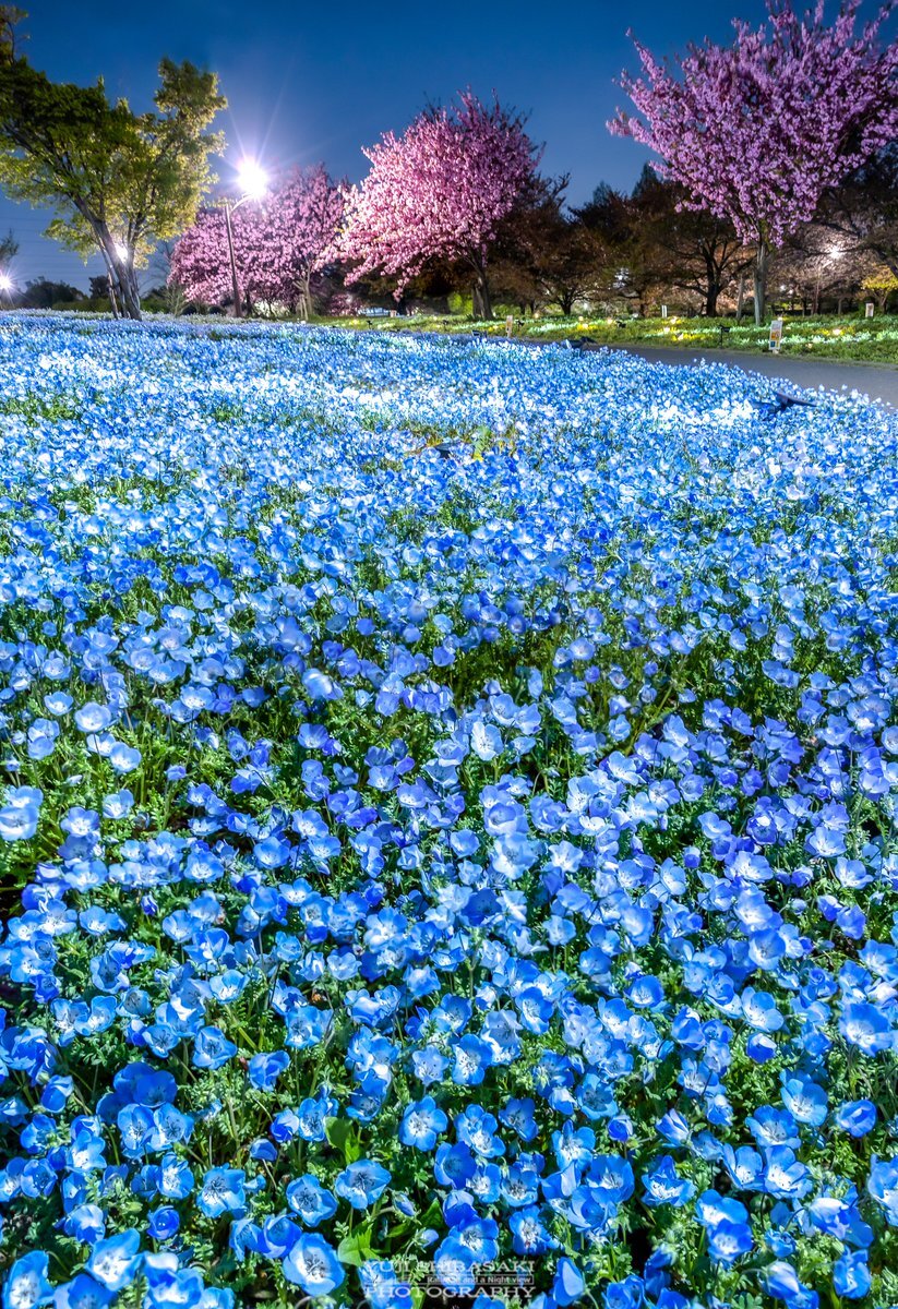 人気ポスト(@Yuji_48) - Yahoo!リアルタイム検索