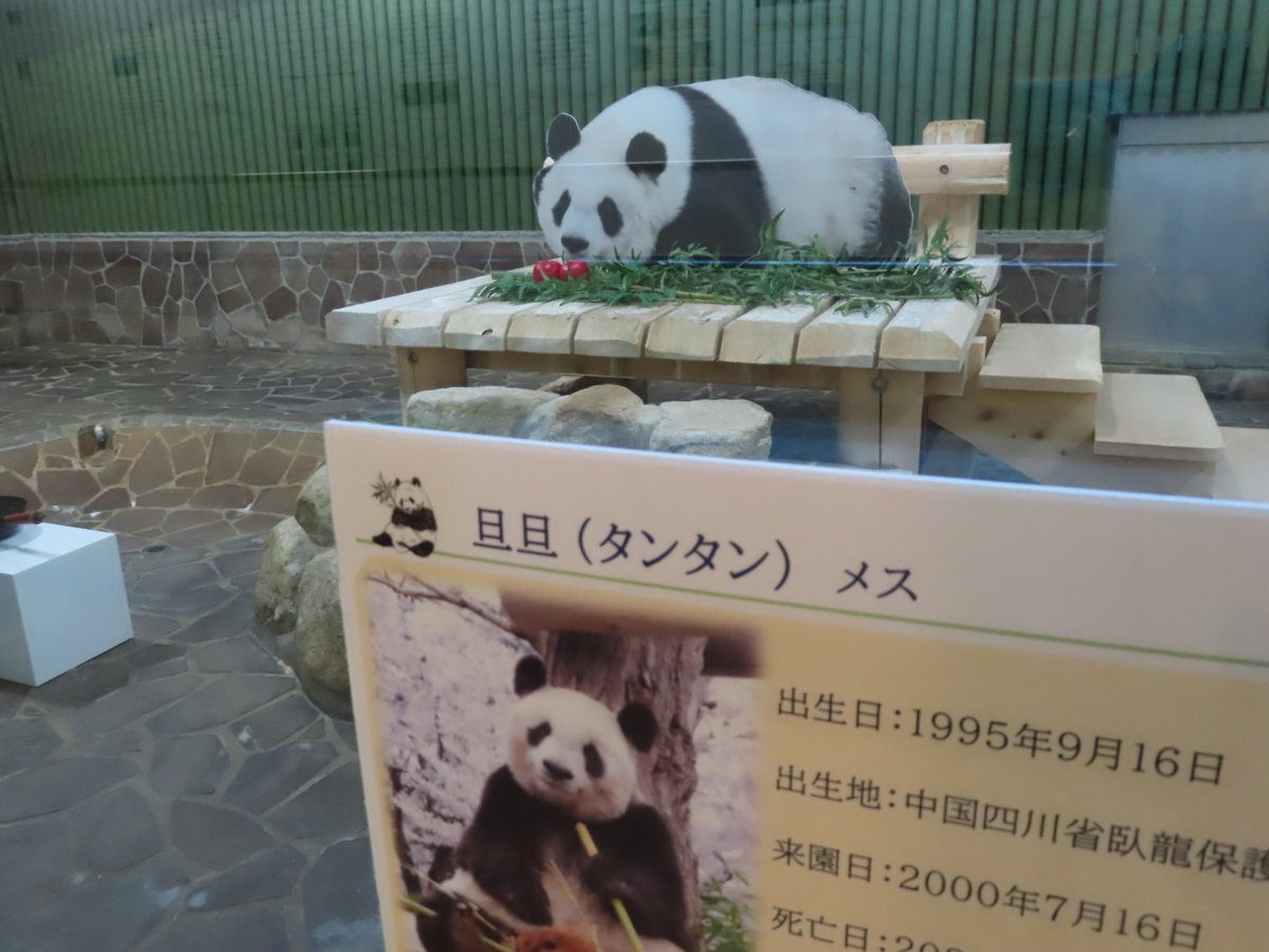 「タンタン パンダ」のX（旧Twitter）検索結果 - Yahoo!リアルタイム検索