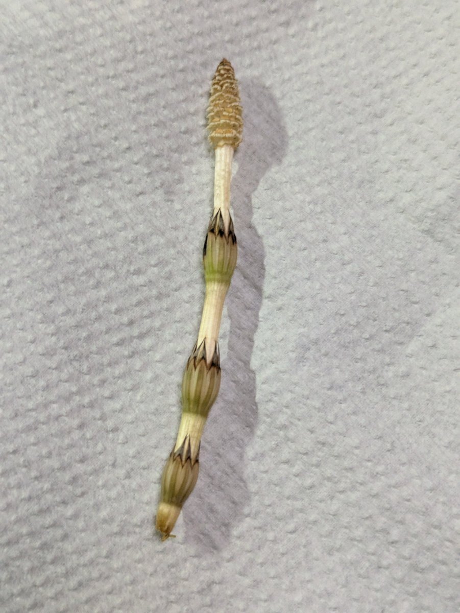 人気ポスト(@FUJISHO_info) - Yahoo!リアルタイム検索