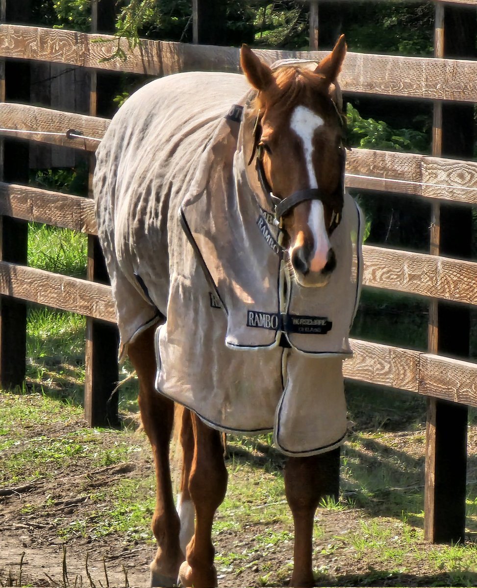 人気ポスト(@mirumaron5) - Yahoo!リアルタイム検索