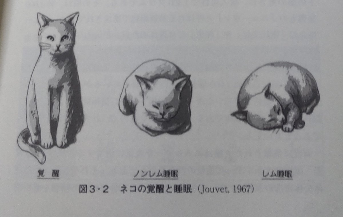 人気ポスト(@kimura6933) - Yahoo!リアルタイム検索