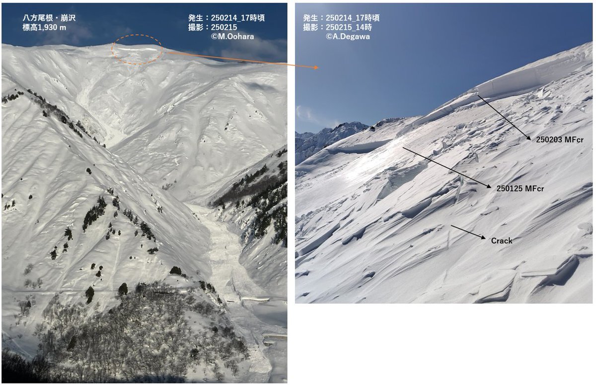 人気ポスト(@npo_jan) - Yahoo!リアルタイム検索