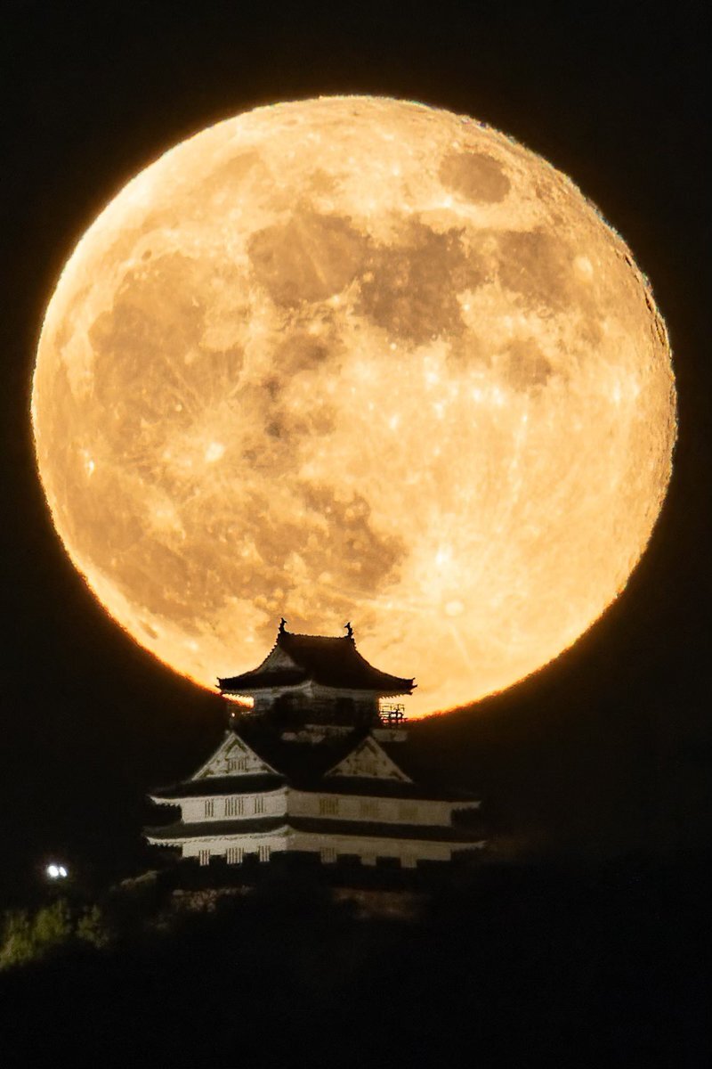 人気ポスト(@hirography_321) - Yahoo!リアルタイム検索