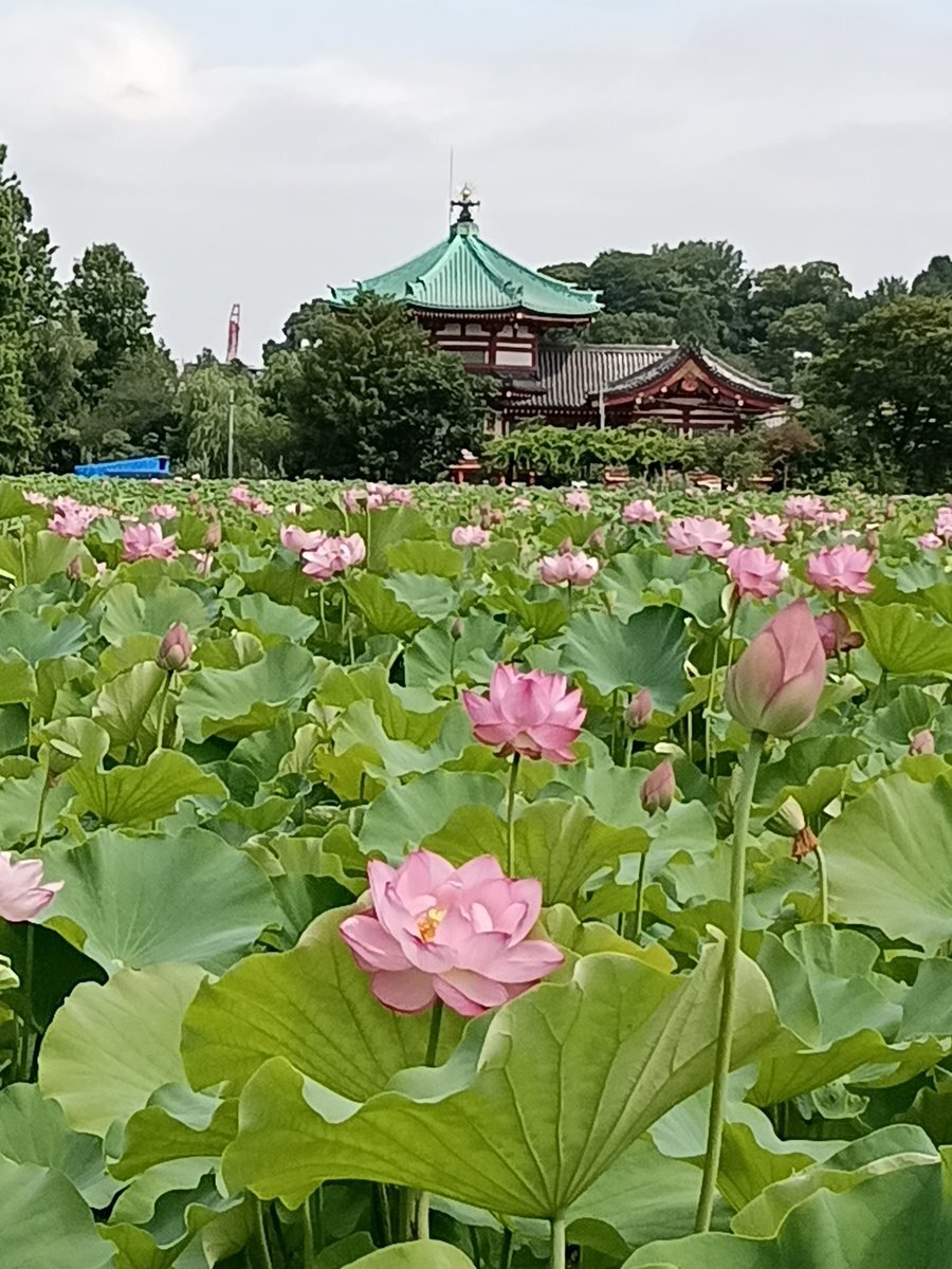 人気ポスト(@sasamon99) - Yahoo!リアルタイム検索