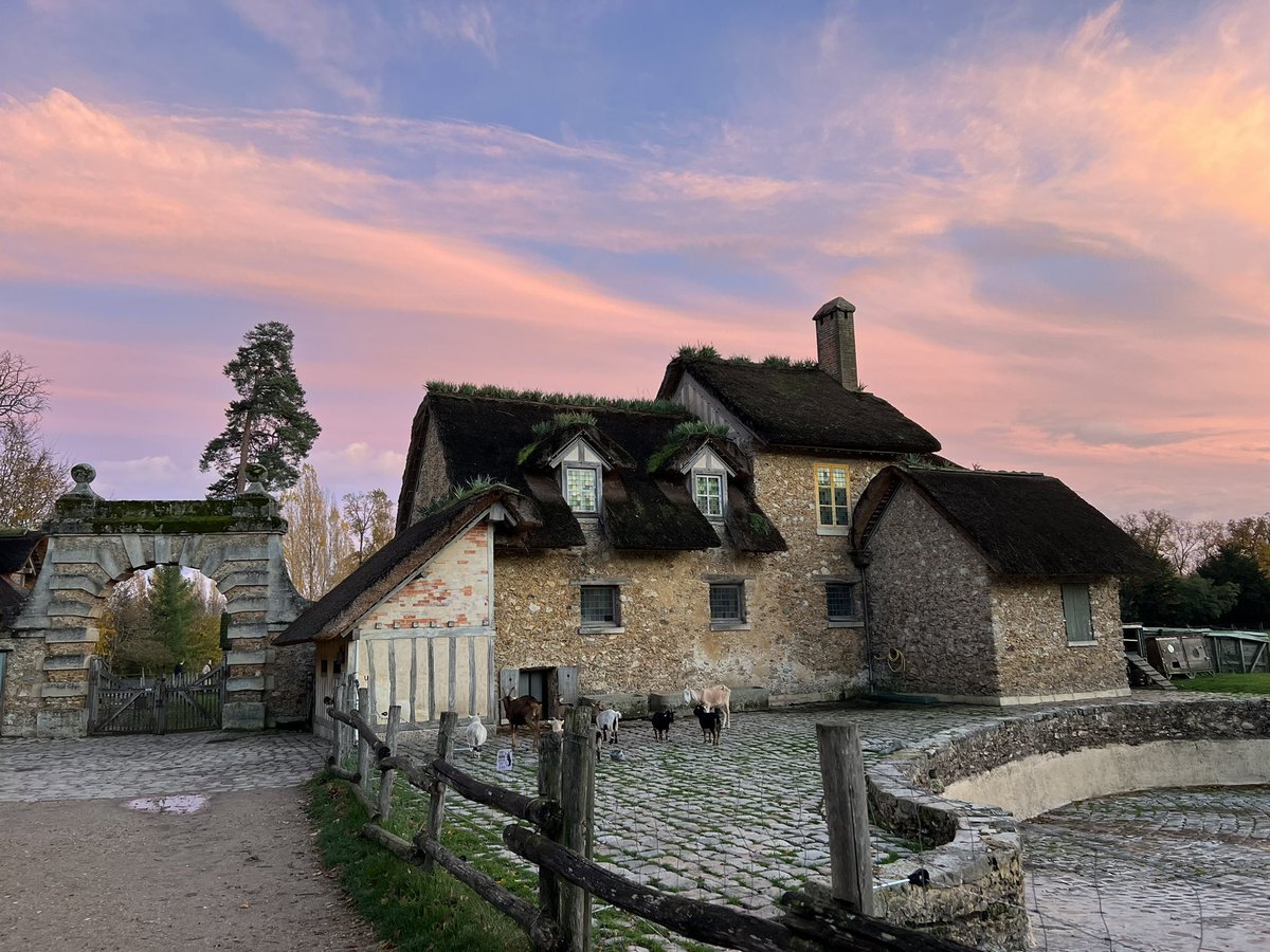 人気ポスト(@smallbear_LD) - Yahoo!リアルタイム検索