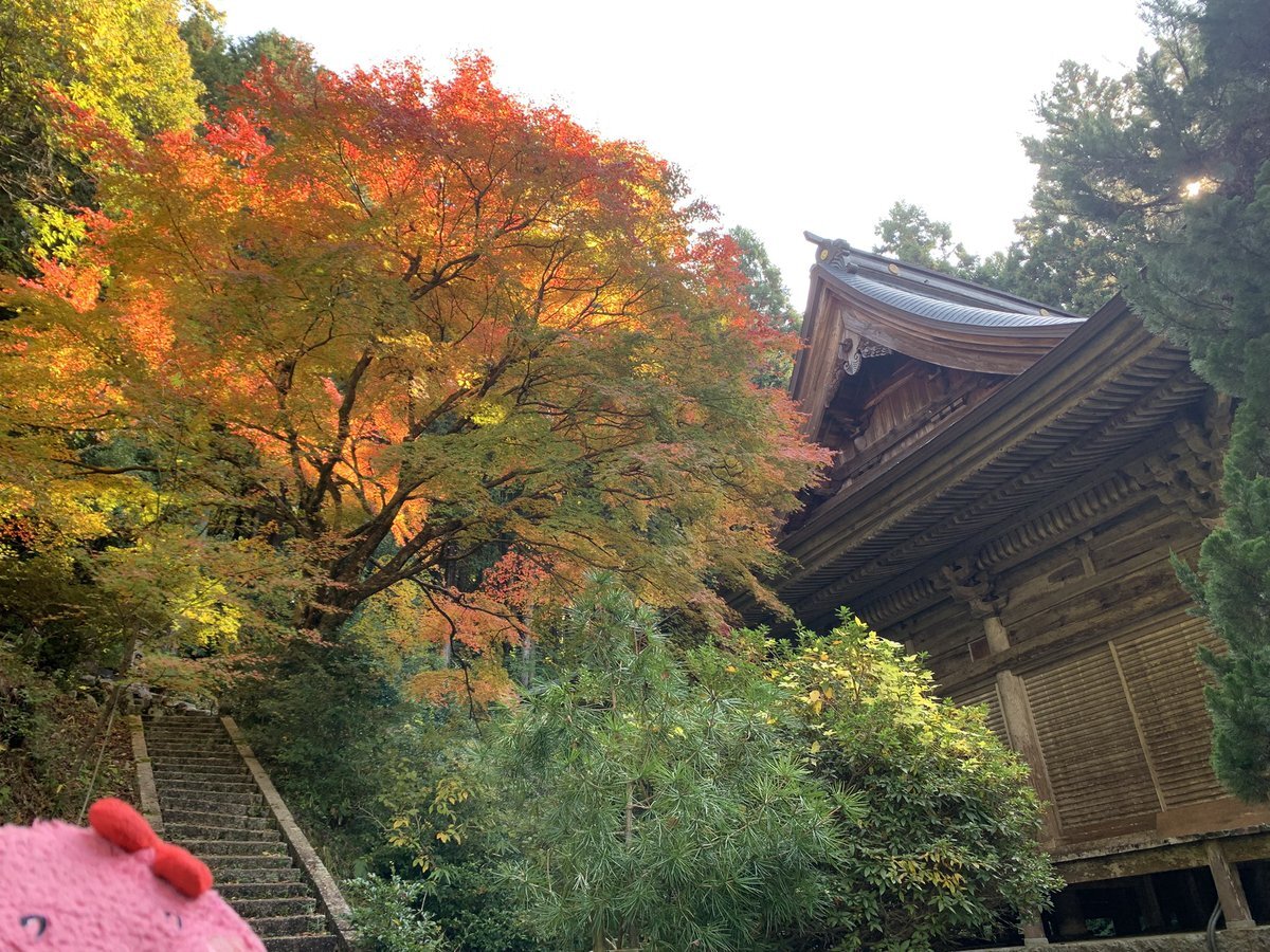 国指定名勝」のX（旧Twitter）検索結果 - Yahoo!リアルタイム検索