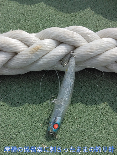 人気ポスト(@JCG_koho) - Yahoo!リアルタイム検索