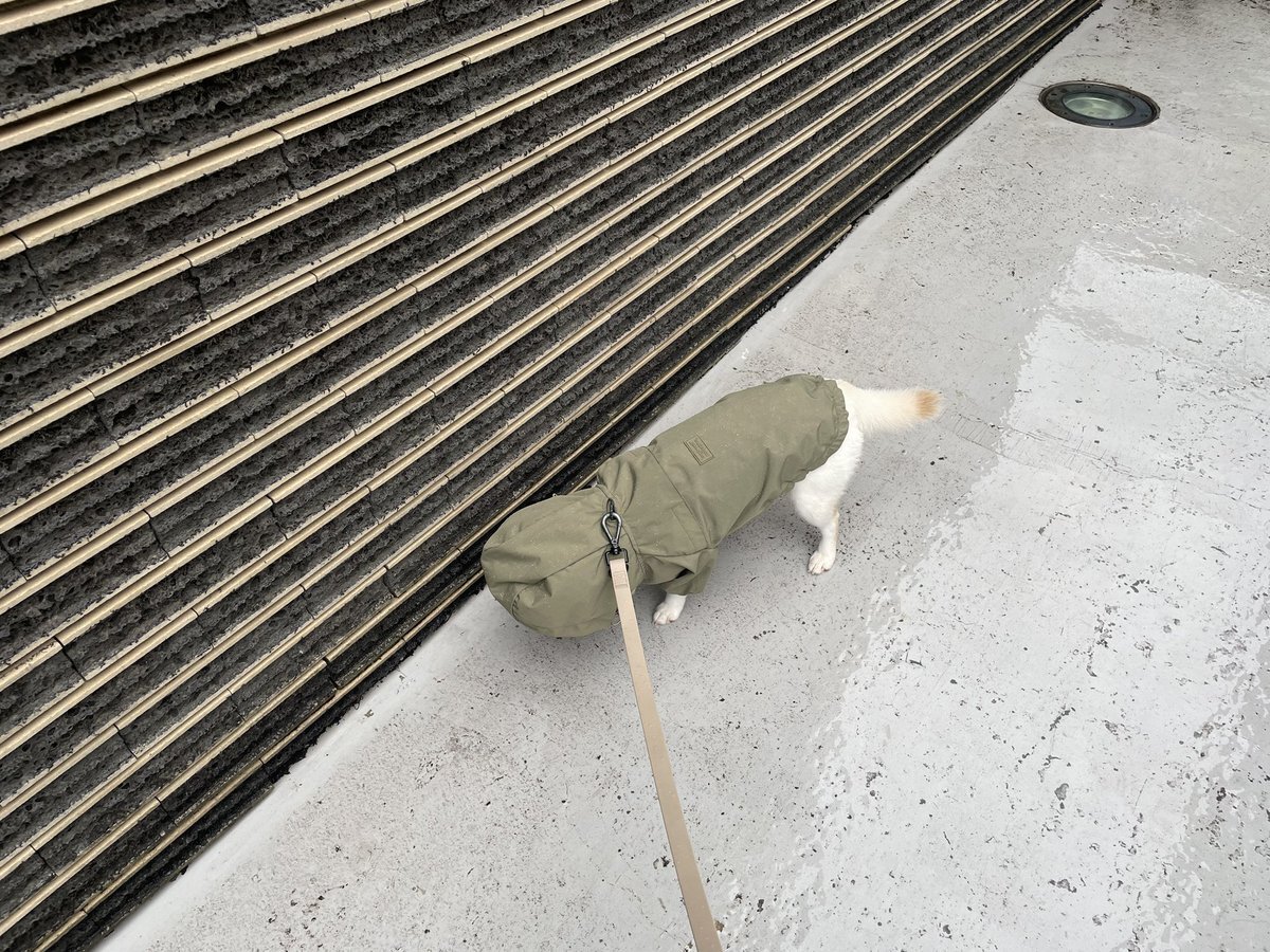 人気ポスト(@kametan_jun) - Yahoo!リアルタイム検索