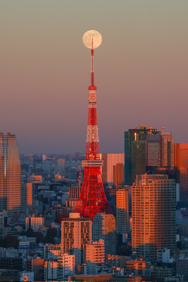 人気ポスト(@Yuji_48) - Yahoo!リアルタイム検索