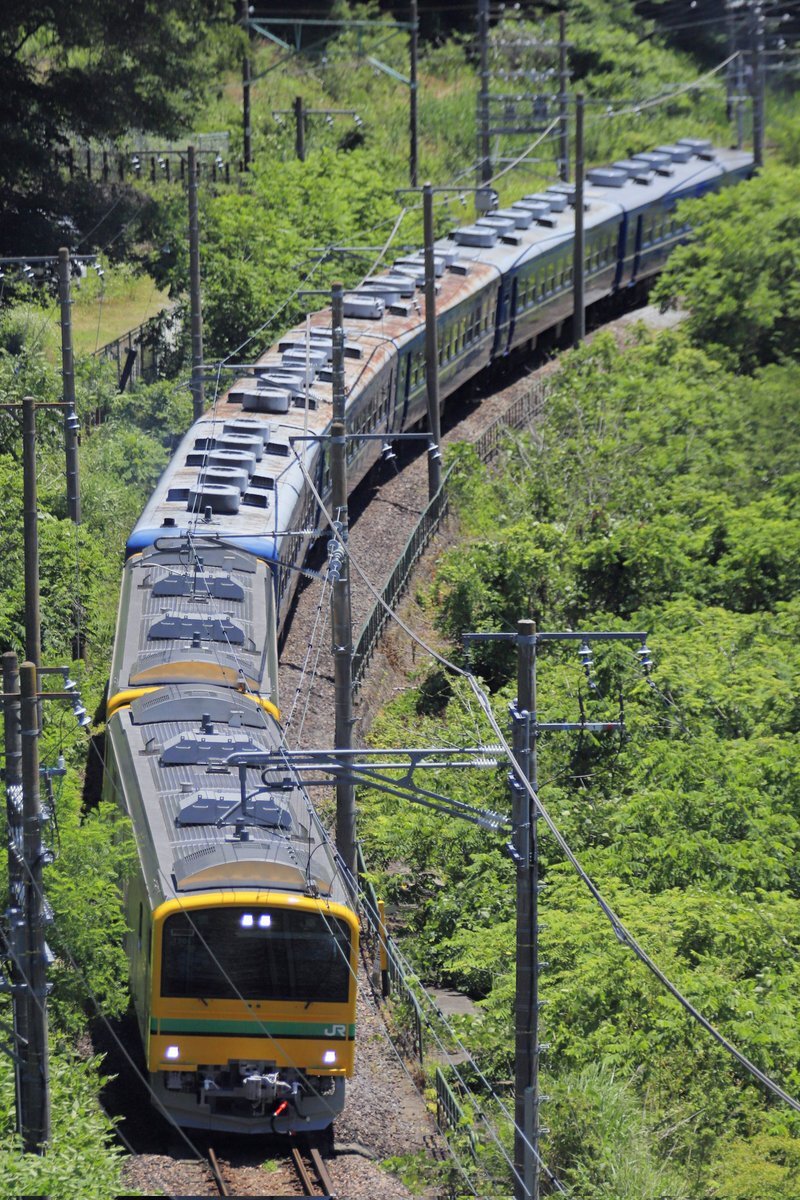 「e655系」のX（旧Twitter）検索結果 - Yahoo!リアルタイム検索