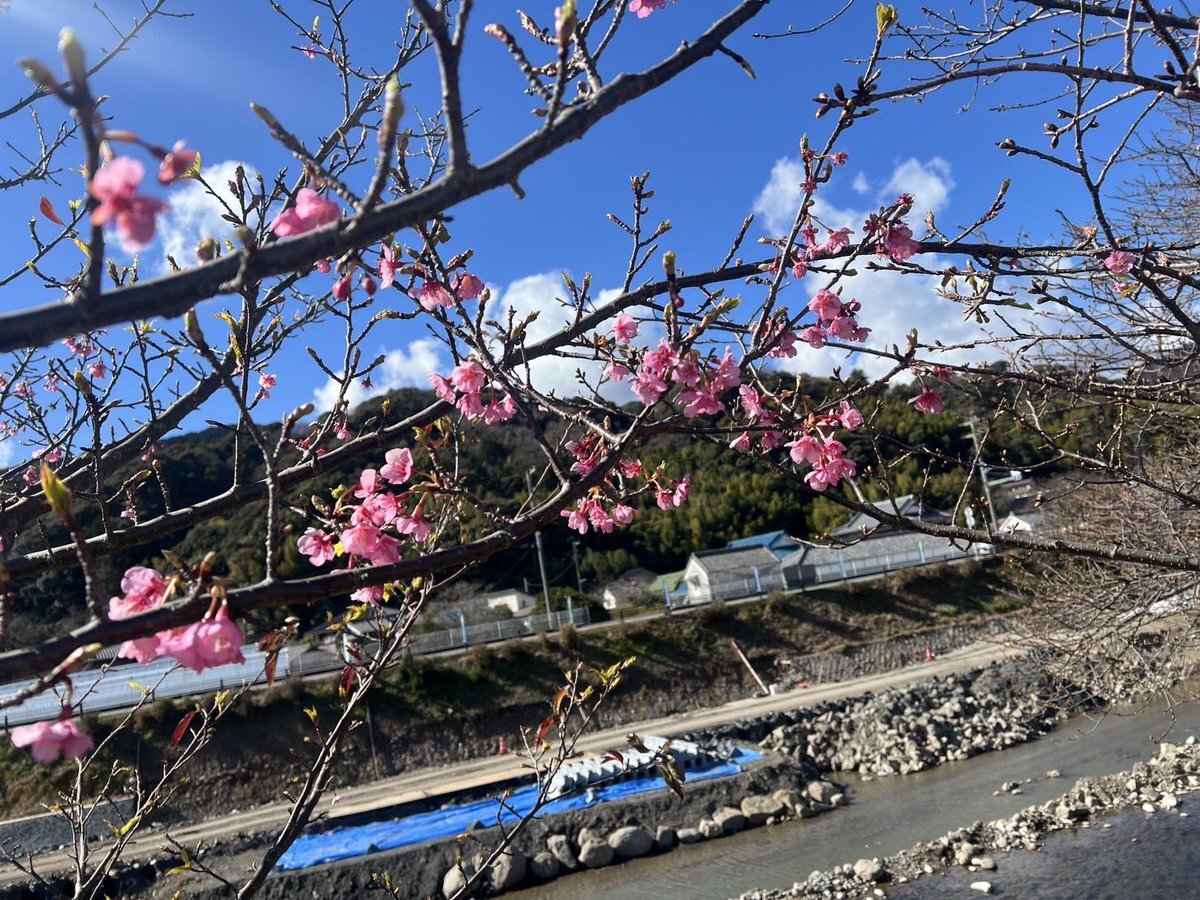 人気ポスト(@kawazukinomiya) - Yahoo!リアルタイム検索