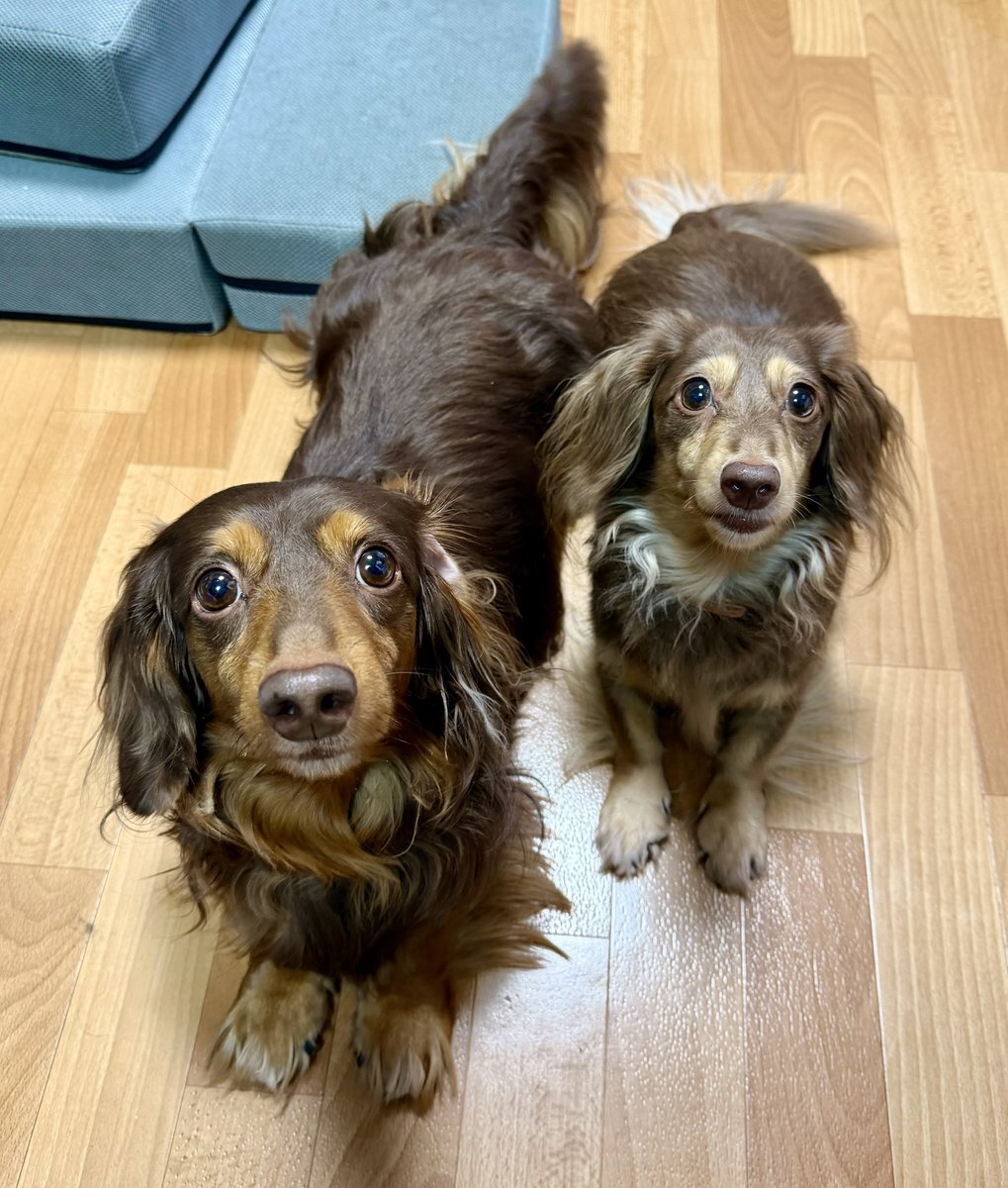 V6、デビュー30周年でサブスク解禁＆未発表曲配信(2025/11/01)｜SNSのバズまとめ - Yahoo!リアルタイム検索