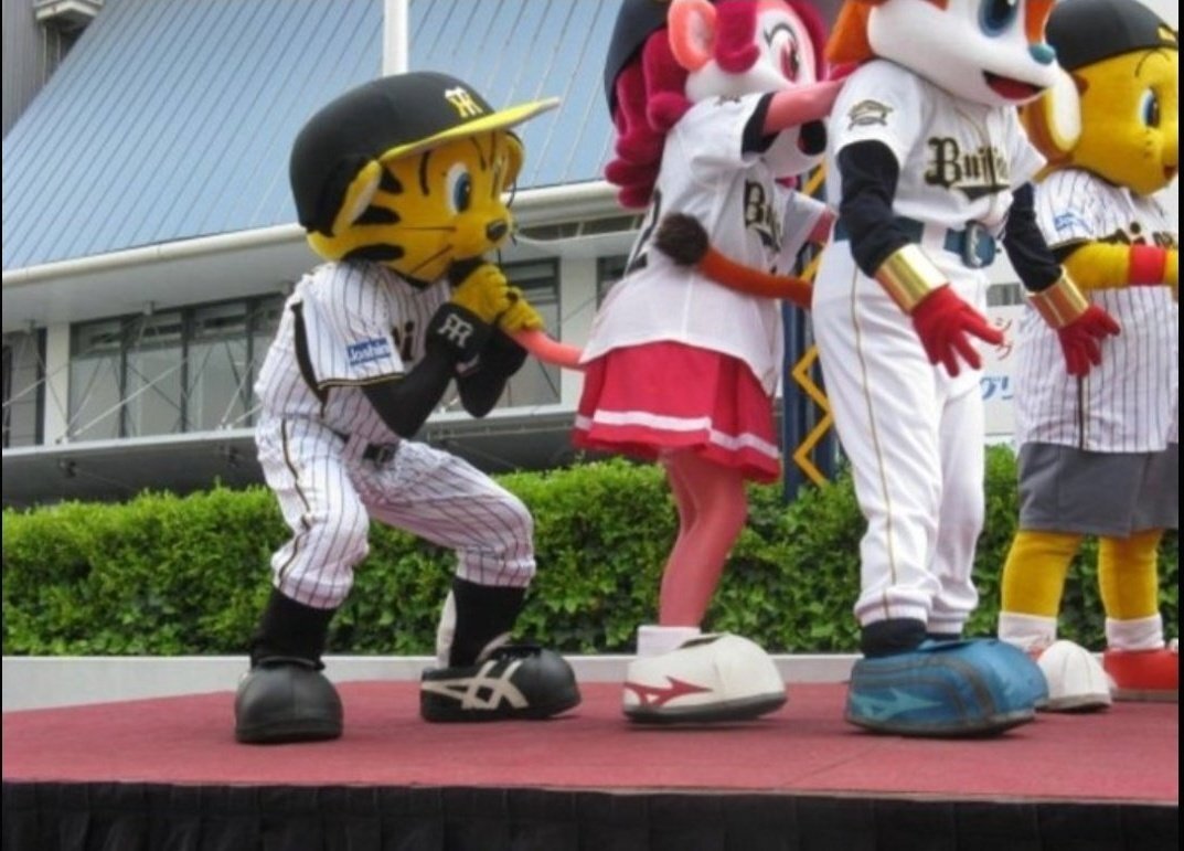 人気ポスト(@shimasan_tora) - Yahoo!リアルタイム検索