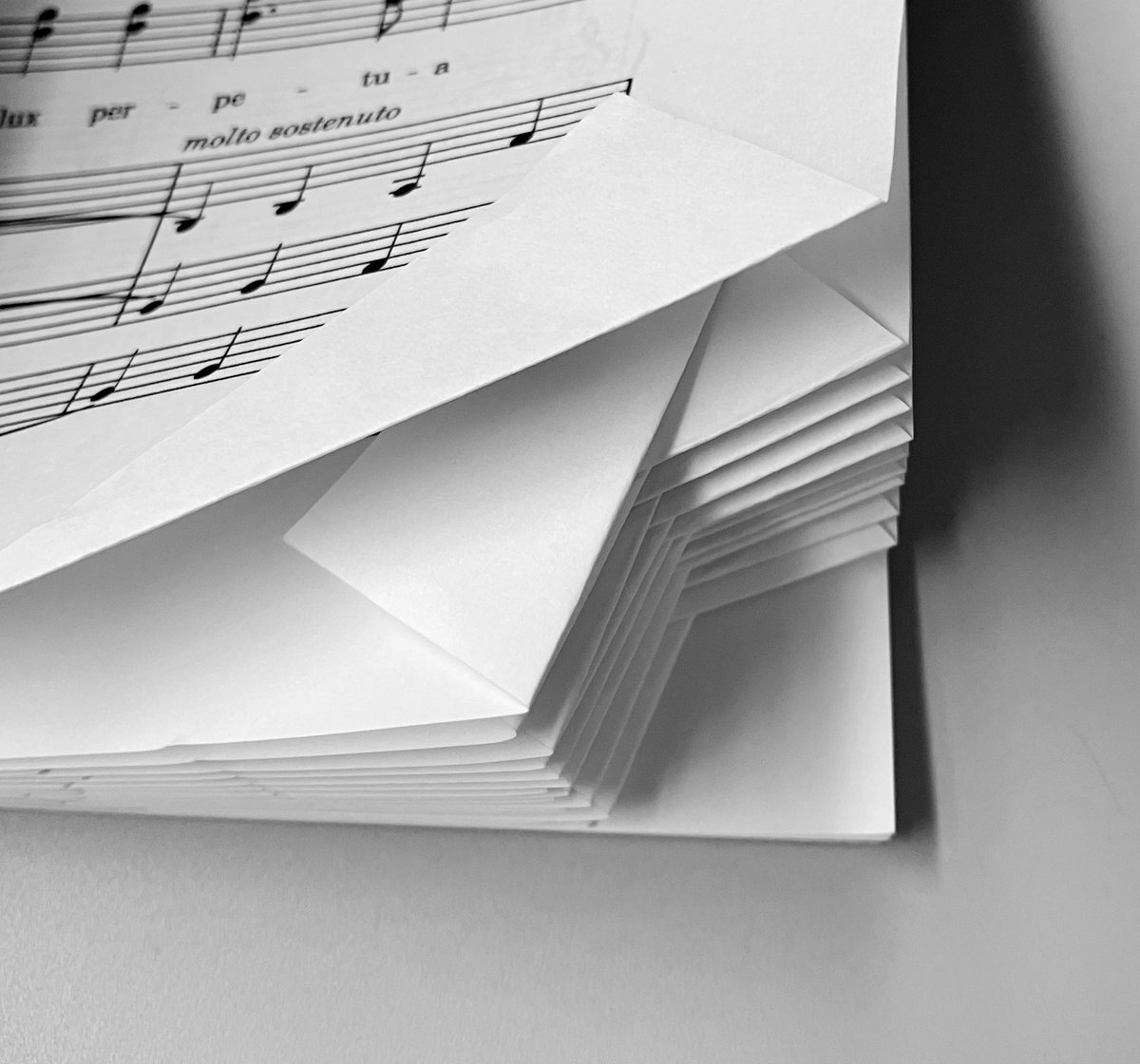 人気ポスト(@tani_chor) - Yahoo!リアルタイム検索