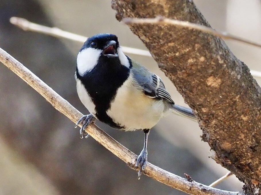 人気ポスト(@toshitaka_szk) - Yahoo!リアルタイム検索