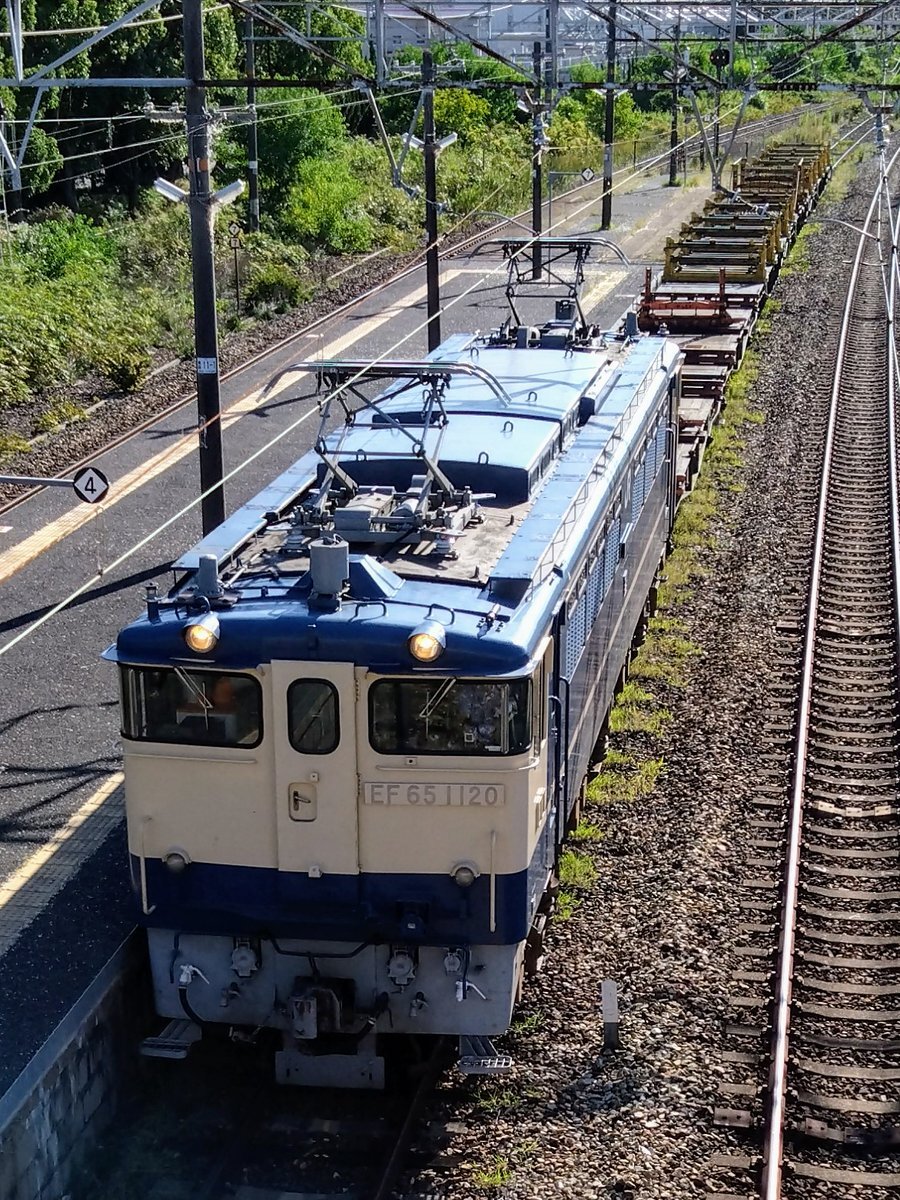 「EF65」のX（旧Twitter）検索結果 - Yahoo!リアルタイム検索