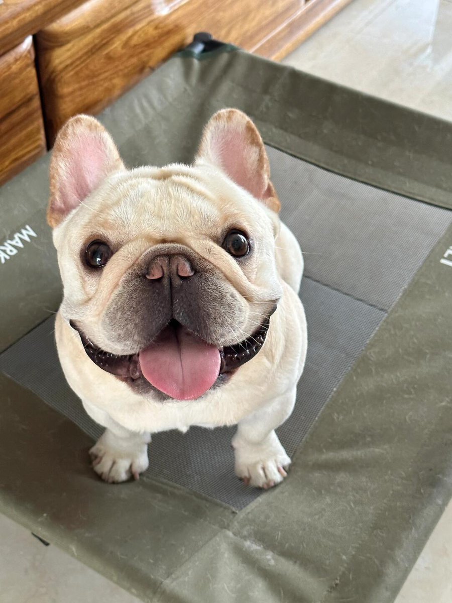 人気ポスト(@riku_o_o_) - Yahoo!リアルタイム検索