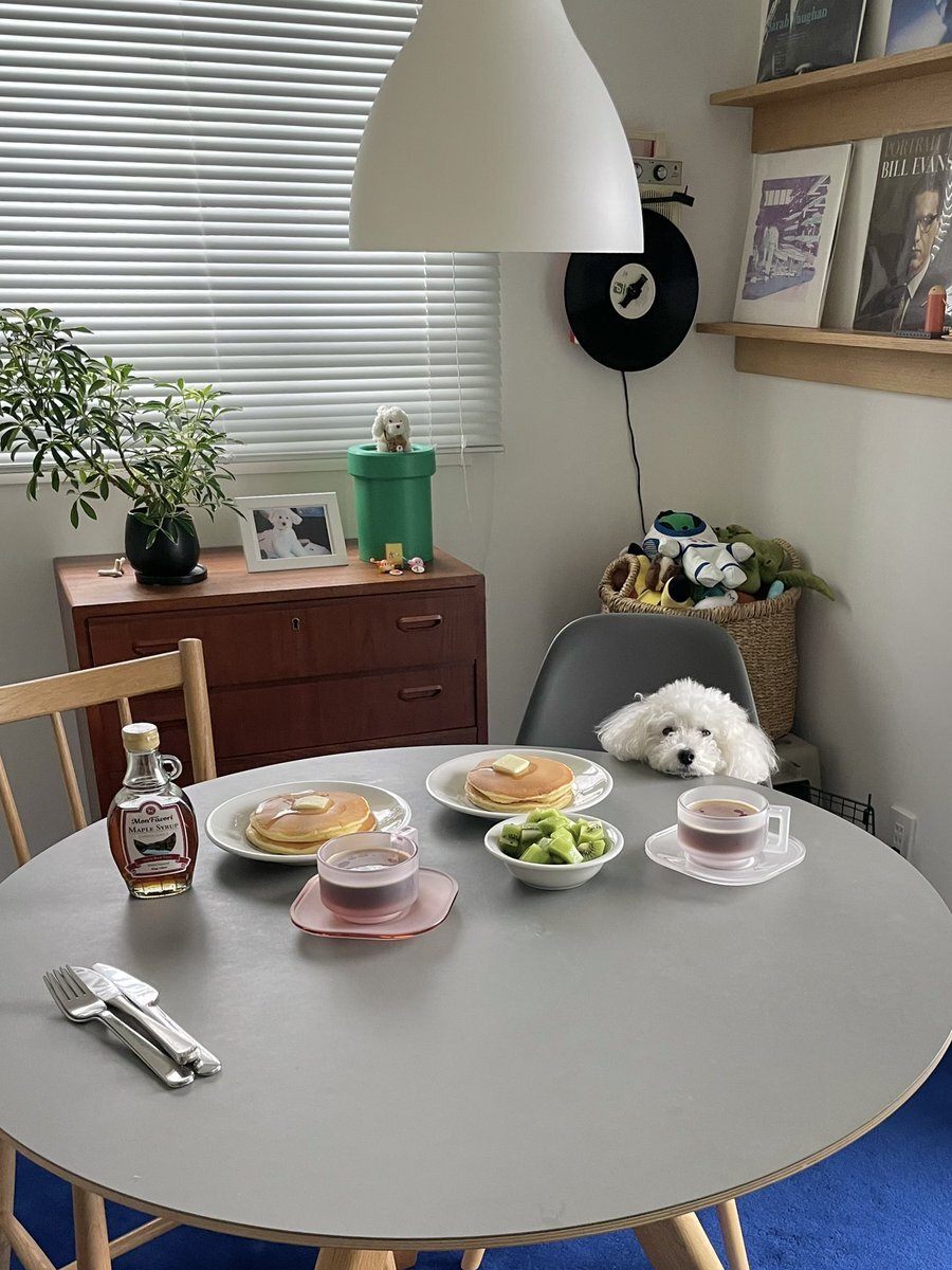 人気ポスト(@dou_mu_ra) - Yahoo!リアルタイム検索