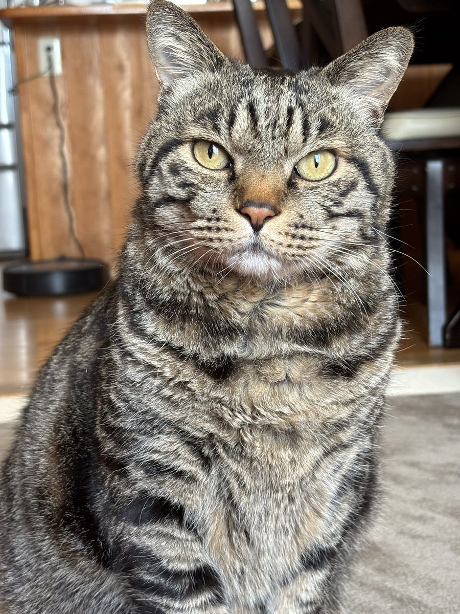 人気ポスト(@TH82624015) - Yahoo!リアルタイム検索