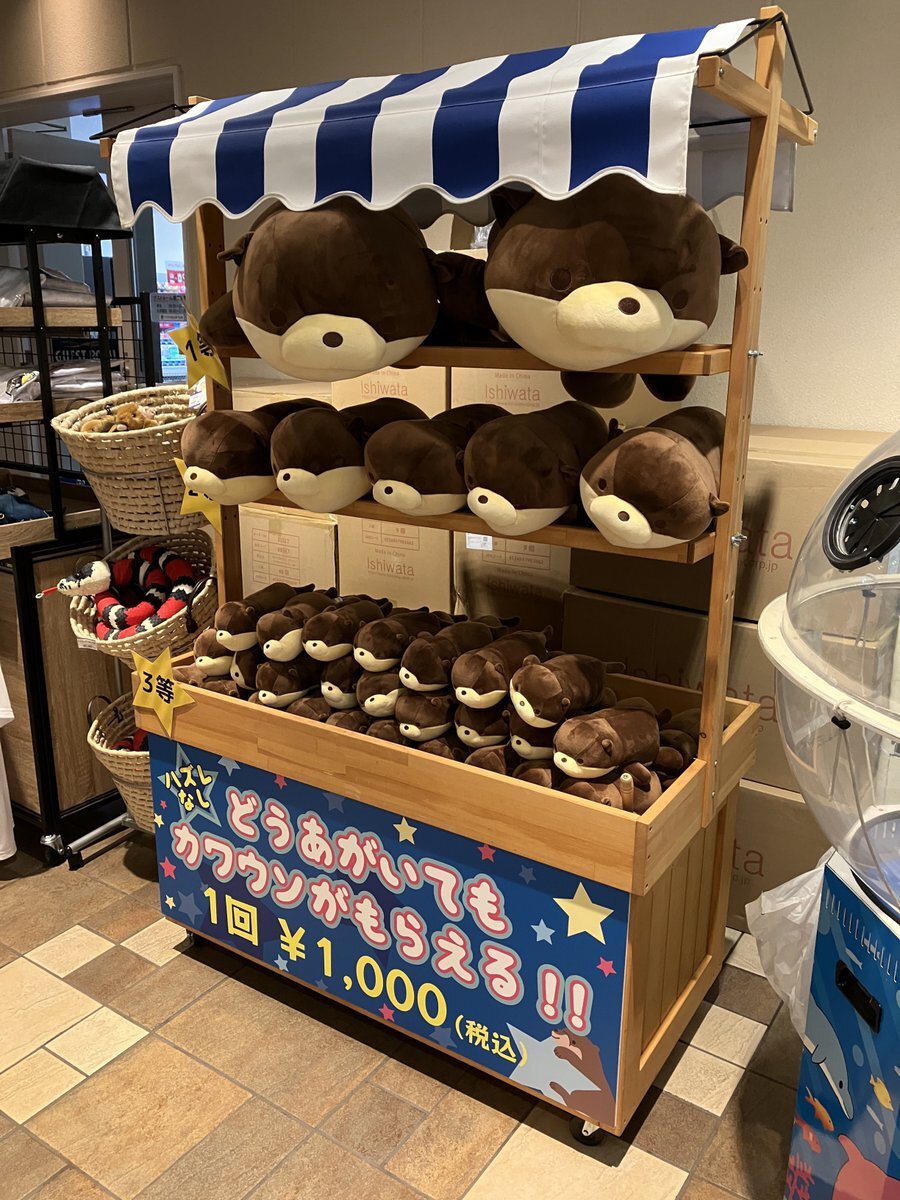 人気ポスト(@Sunshine_Aqua) - Yahoo!リアルタイム検索