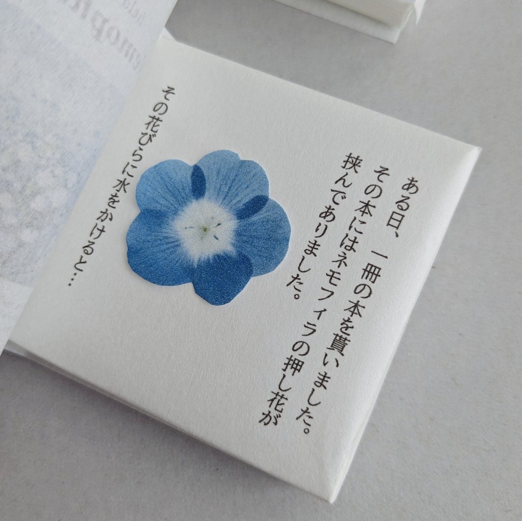 人気ポスト(@29182929cm) - Yahoo!リアルタイム検索