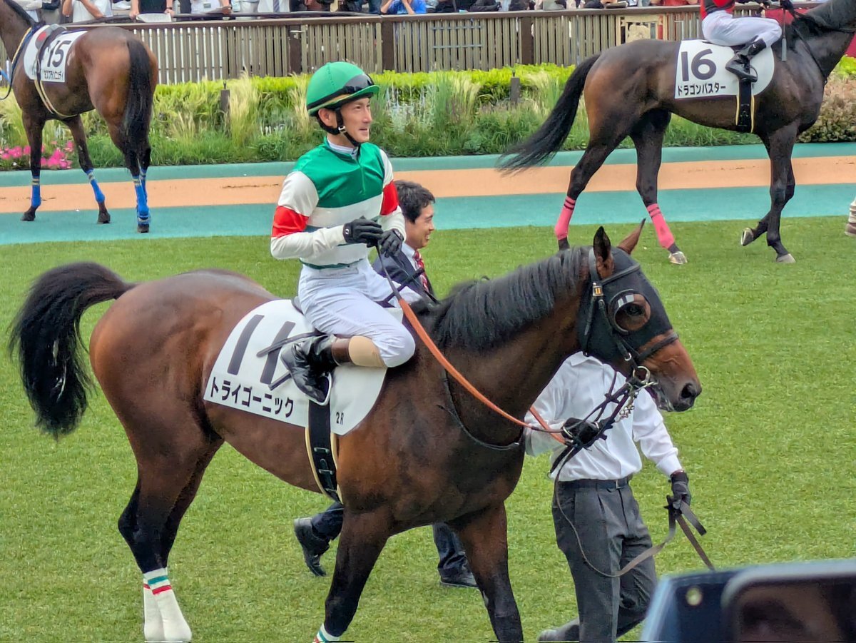 人気ポスト(@tck_keiba) - Yahoo!リアルタイム検索