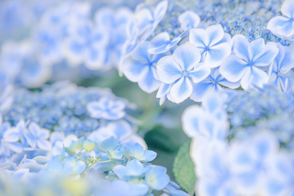 人気ポスト(@takeshi_zzz) - Yahoo!リアルタイム検索