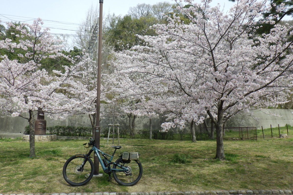 人気ポスト(@g1r5a0t8i) - Yahoo!リアルタイム検索