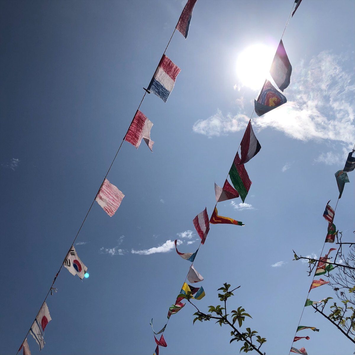 人気ポスト(@bouz_4d) - Yahoo!リアルタイム検索