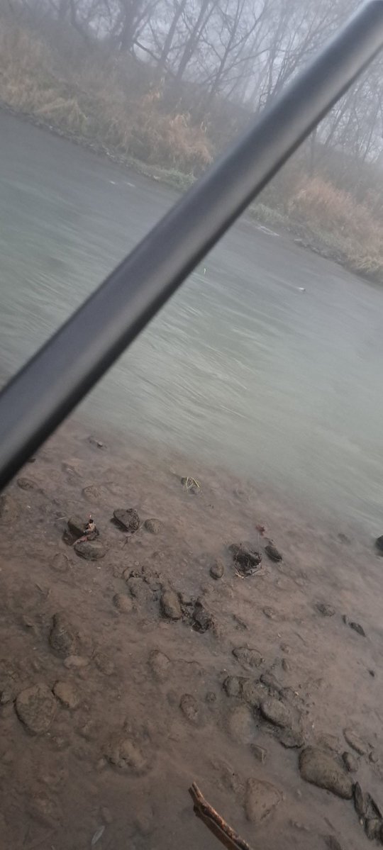 「本流」のX（旧Twitter）検索結果 - Yahoo!リアルタイム検索