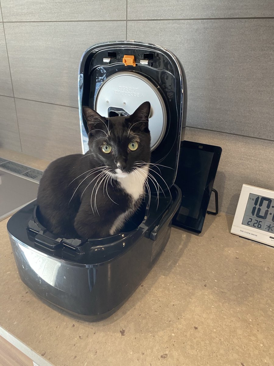 人気ポスト(@fuji_ayako) - Yahoo!リアルタイム検索